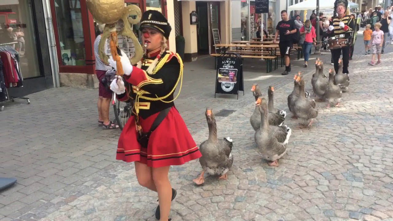 Geese Parade - PINZOR
