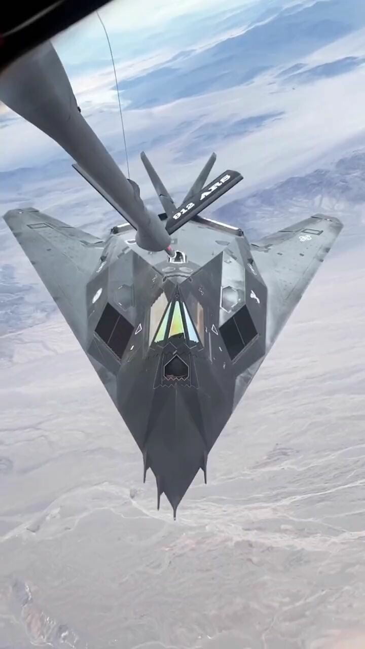 Lockheed F-117 Nighthawk Stealth Aircraft - PINZOR